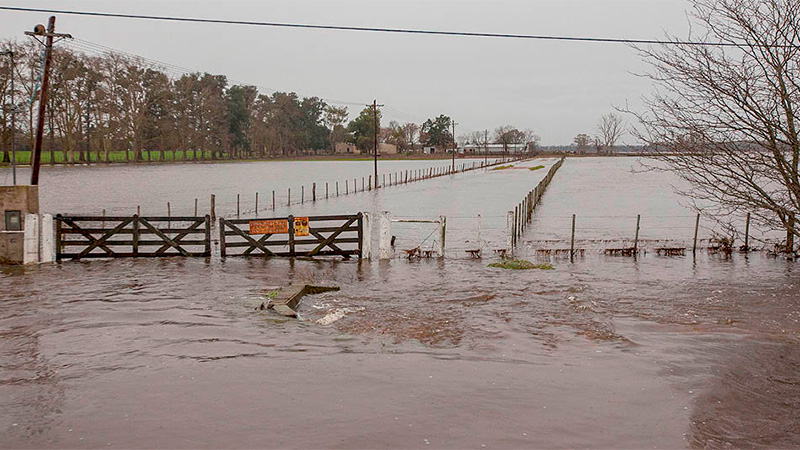 Efectos del clima en Entre Ríos: Las pérdidas superarían los $4 mil ...