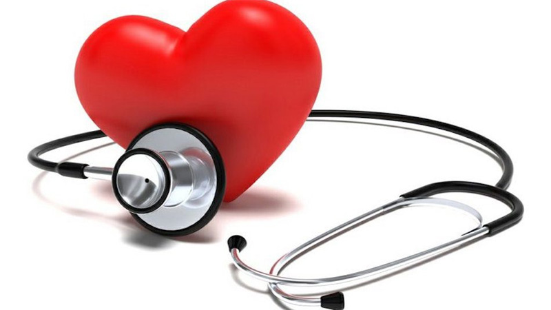 Diez claves para una mejor salud cardiovascular | Elonce.com