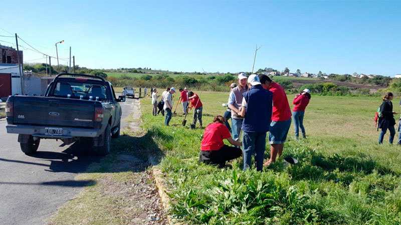 En Oro Verde, scouts plantaron más de 90 árboles | Elonce.com