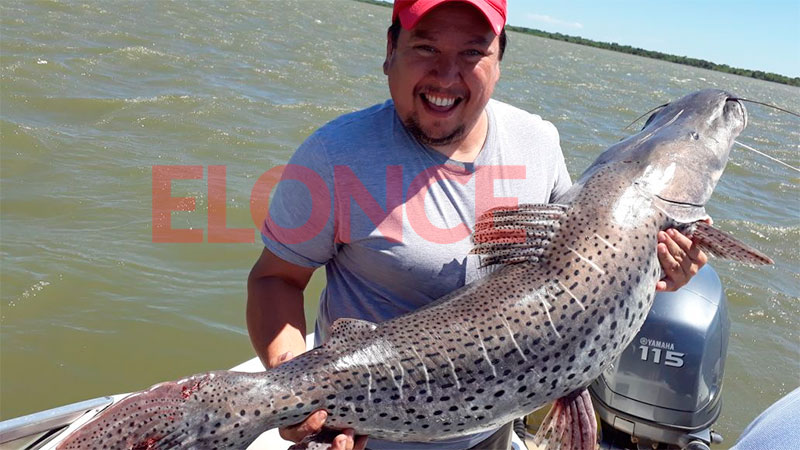 Pescaron un enorme surubí de 45 kilos, posaron para la foto y lo ...