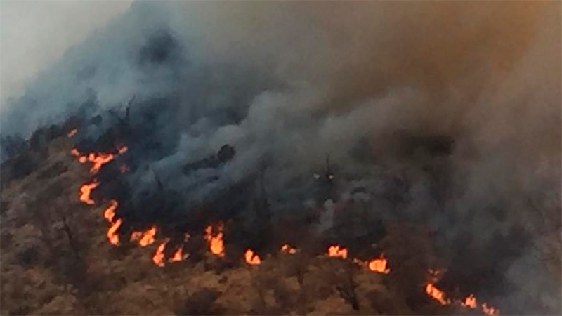 Entre Ríos registra un foco activo de incendio forestal | Elonce.com