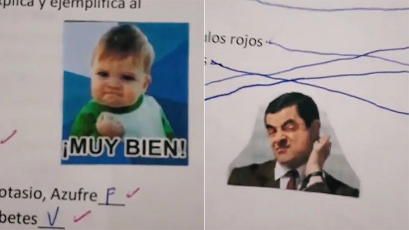 Profesora entrerriana corrigió los exámenes de sus alumnos con ...