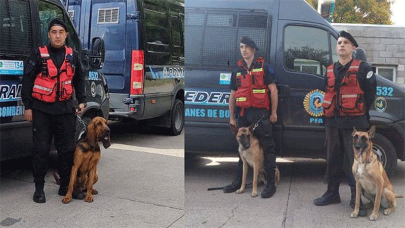 La historia de Samara, la perra que marcó dónde estaba enterrada Nancy ...