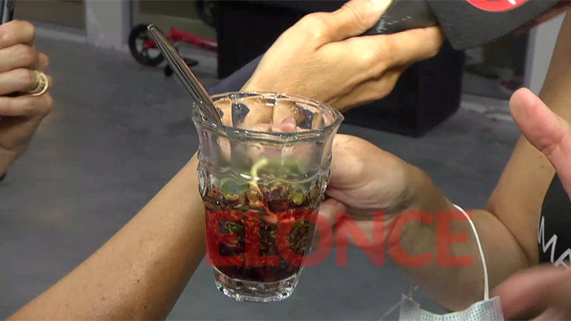 “Mateando”: características y beneficios de consumir el Mate de Té ...