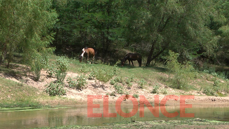 "Un entorno natural y tranquilo": las bondades del Camping El Espinillo ...