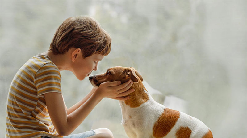 Terapias con animales: cómo pueden ayudar a la inclusión de niños con ...