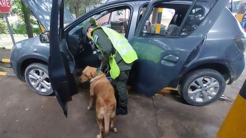 Incautaron casi 15 kilos de cocaína escondida en tanque de combustible | Elonce.com