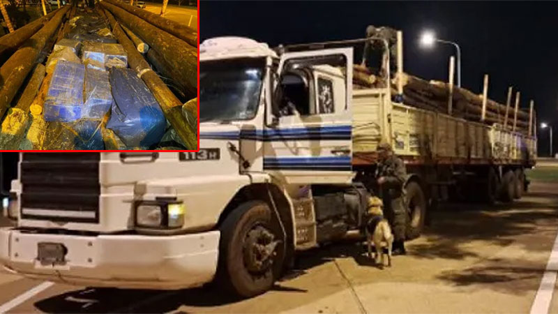 Secuestran Más De 1 600 Kilos De Marihuana Ocultos Entre Postes De