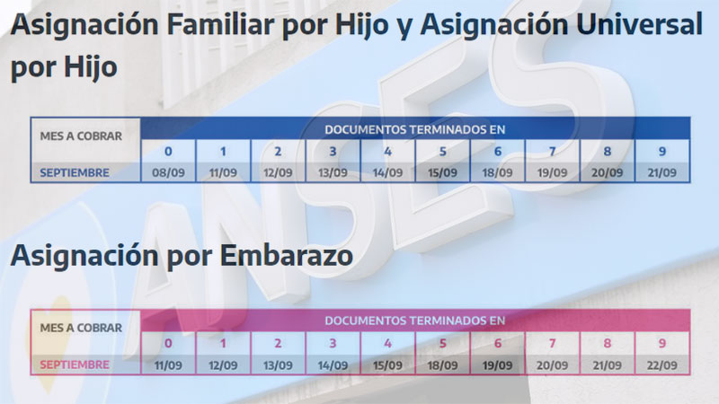 ANSES: pagan desde mañana jubilaciones, SUAF, AUH y otros beneficios | Elonce.com