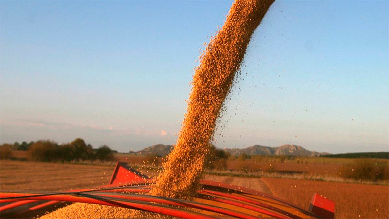 La transformación del grano de soja en la agenda pública entrerriana ...