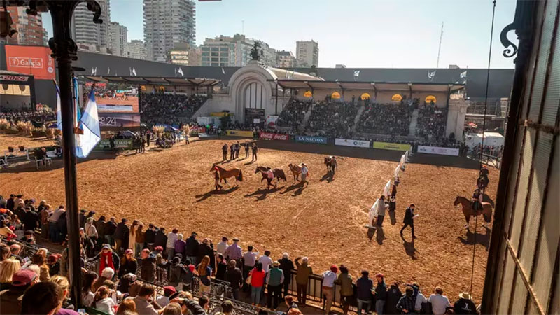 El caballo criollo fue reconocido como “Marca País” de la Argentina ...