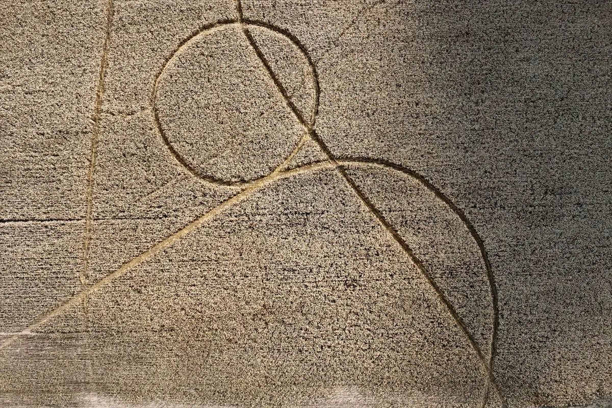 The Strangest Crop Circle: Argentina's Wheat Field Mystery That Defies ...