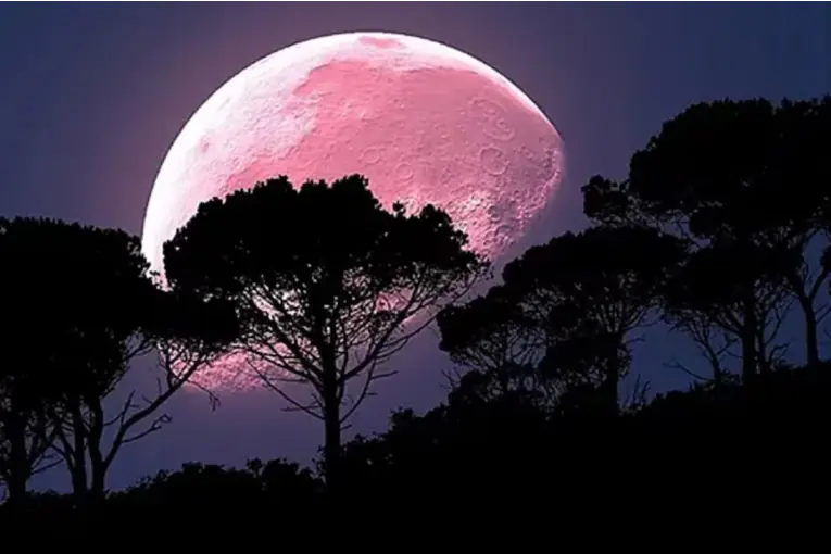 Luna Rosa 2026: cuándo y cómo ver el fenómeno en Argentina | Elonce.com